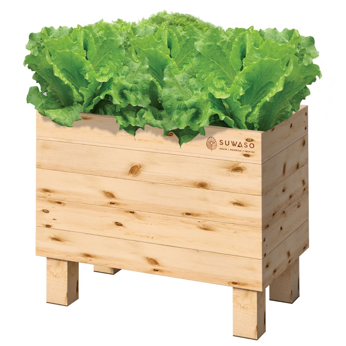 Pinnacle Planter - Suwaso - GROW | NOURISH | INSPIRE