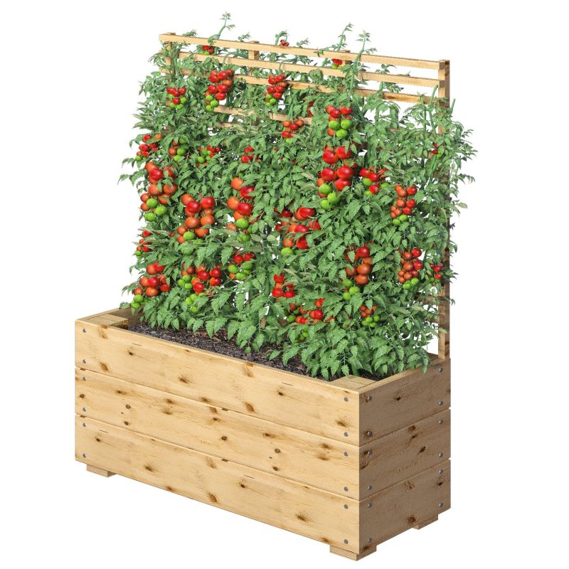 Sage Planter – Suwaso – GROW | NOURISH | INSPIRE